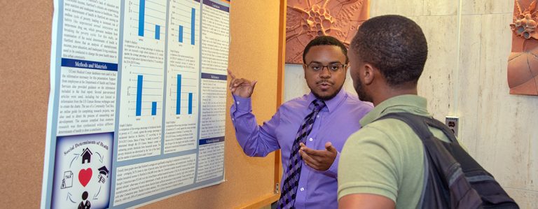 Summer Research Fellowship Program Health Career Opportunity Programs