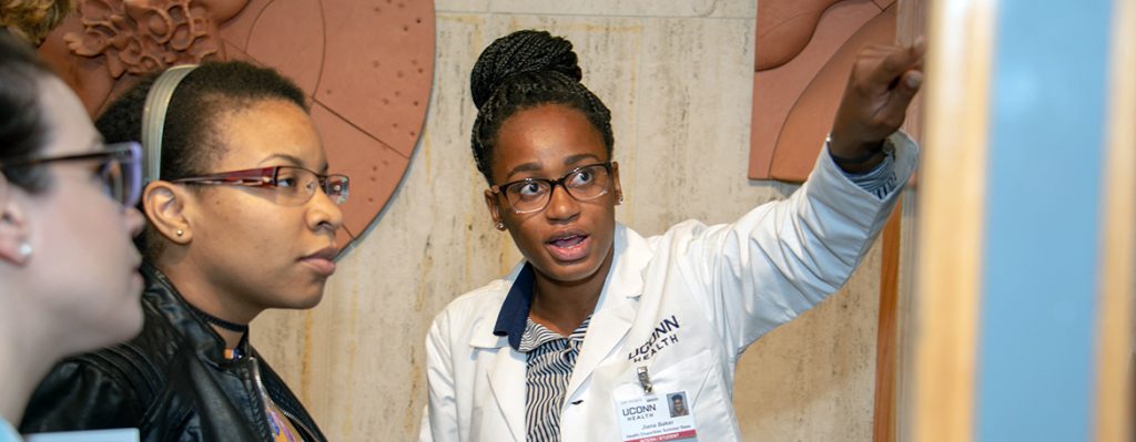 Summer Research Fellowship Program Health Career Opportunity Programs