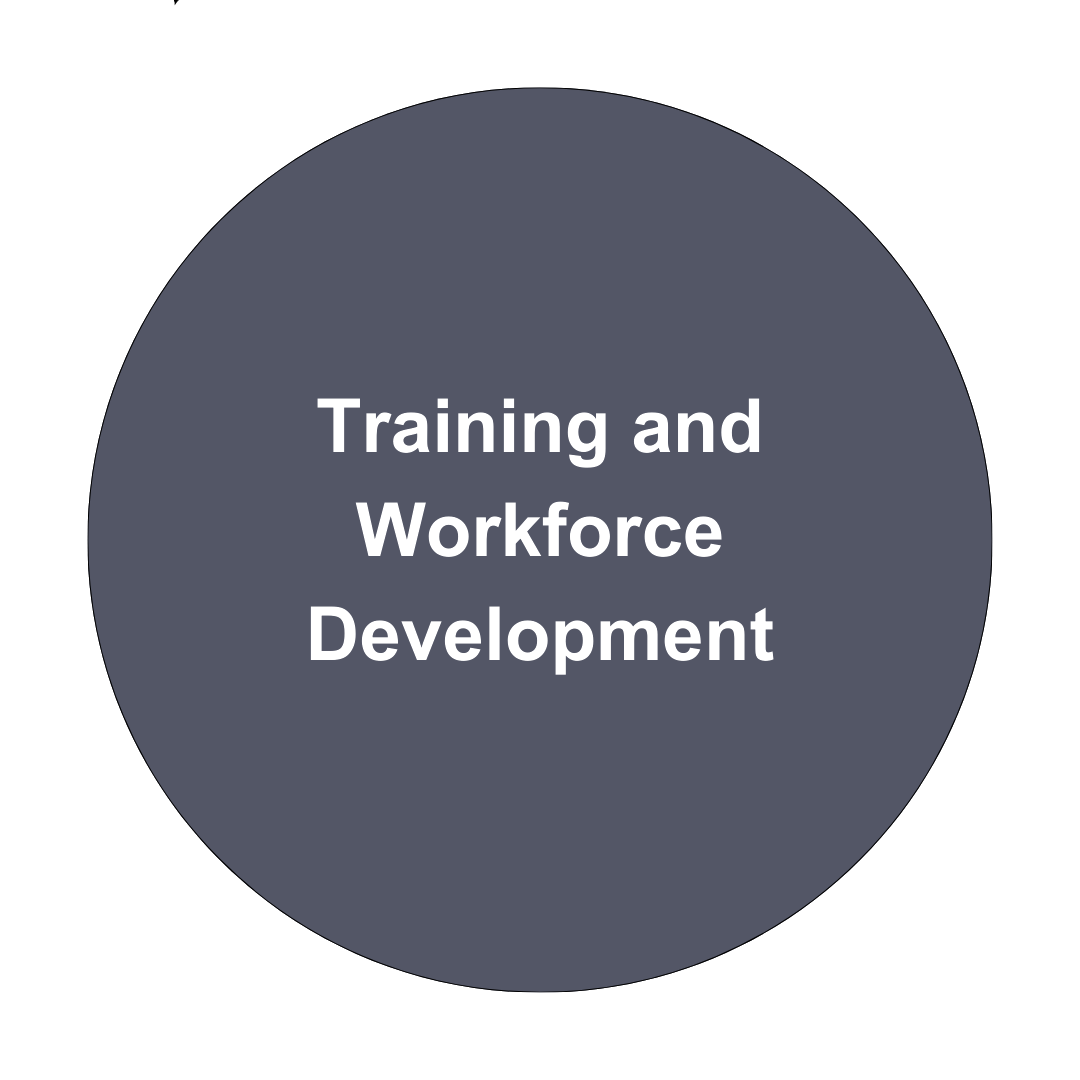 Mission, Vision, and Values | Health Disparities Institute