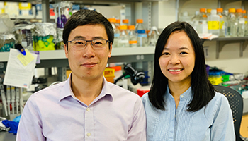 Dr. Ju Chen Selected for 2019 AAI Careers in Immunology Fellowship ...