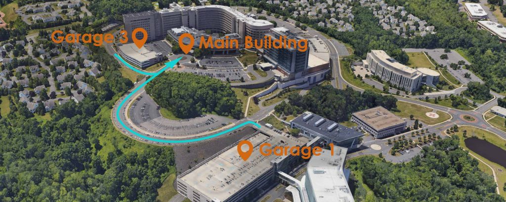 | Department of Molecular Biology and Biophysics