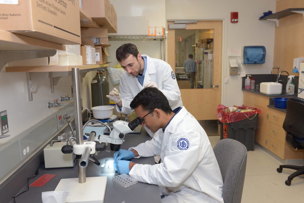 Martinelli Lab Featured in UConn Today | Neuroscience Department