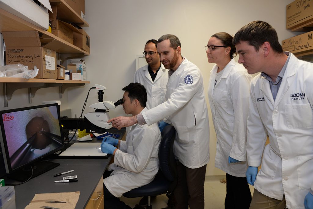 Trakhtenberg Lab - Interstellar Initiative honor | Neuroscience Department