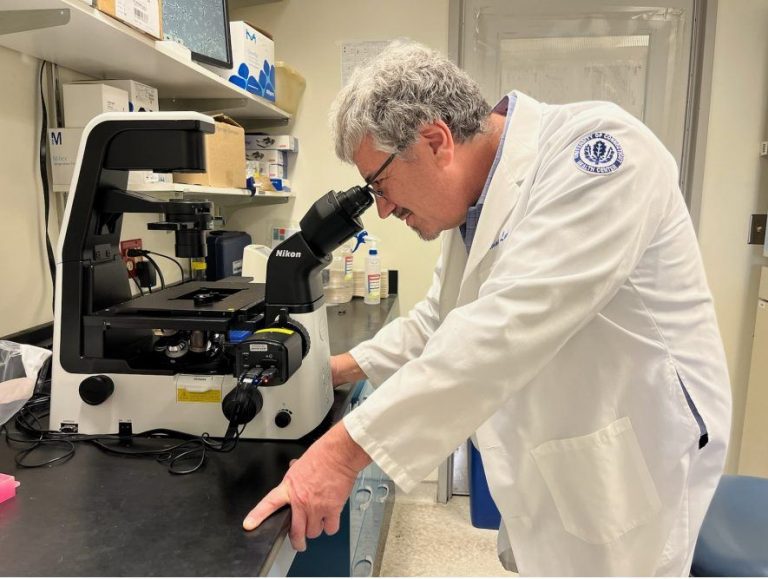 Eagles Autism Foundation Awards Research Fundng to Levine Lab ...