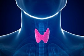 Home | Ear, Nose and Throat/Otolaryngology